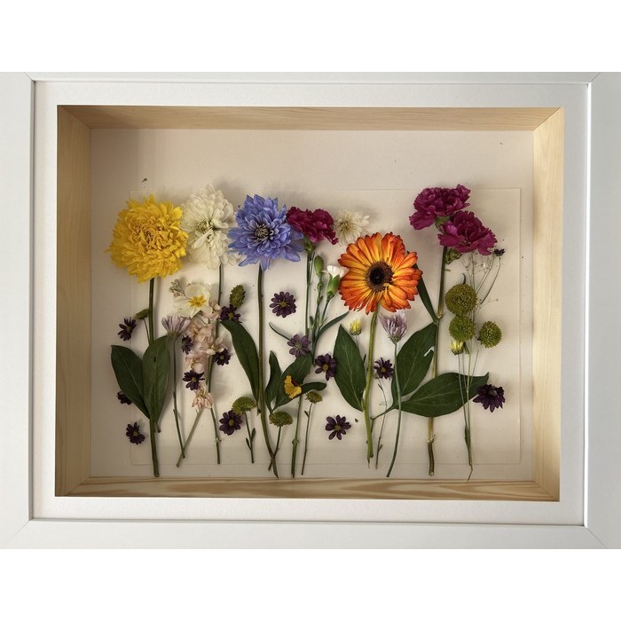 Meadow Design - True Dreams