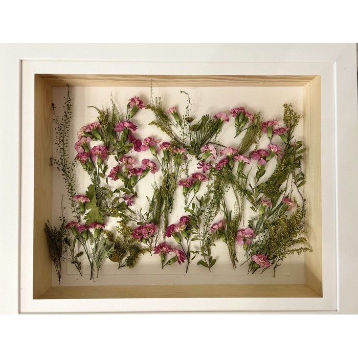 Meadow Design - True Dreams